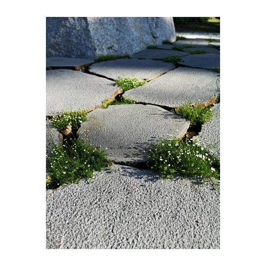 Bush Hammered Basalt at Jamie Spinelli blog